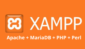 ¿Qué es Xampp? - Norvic Software